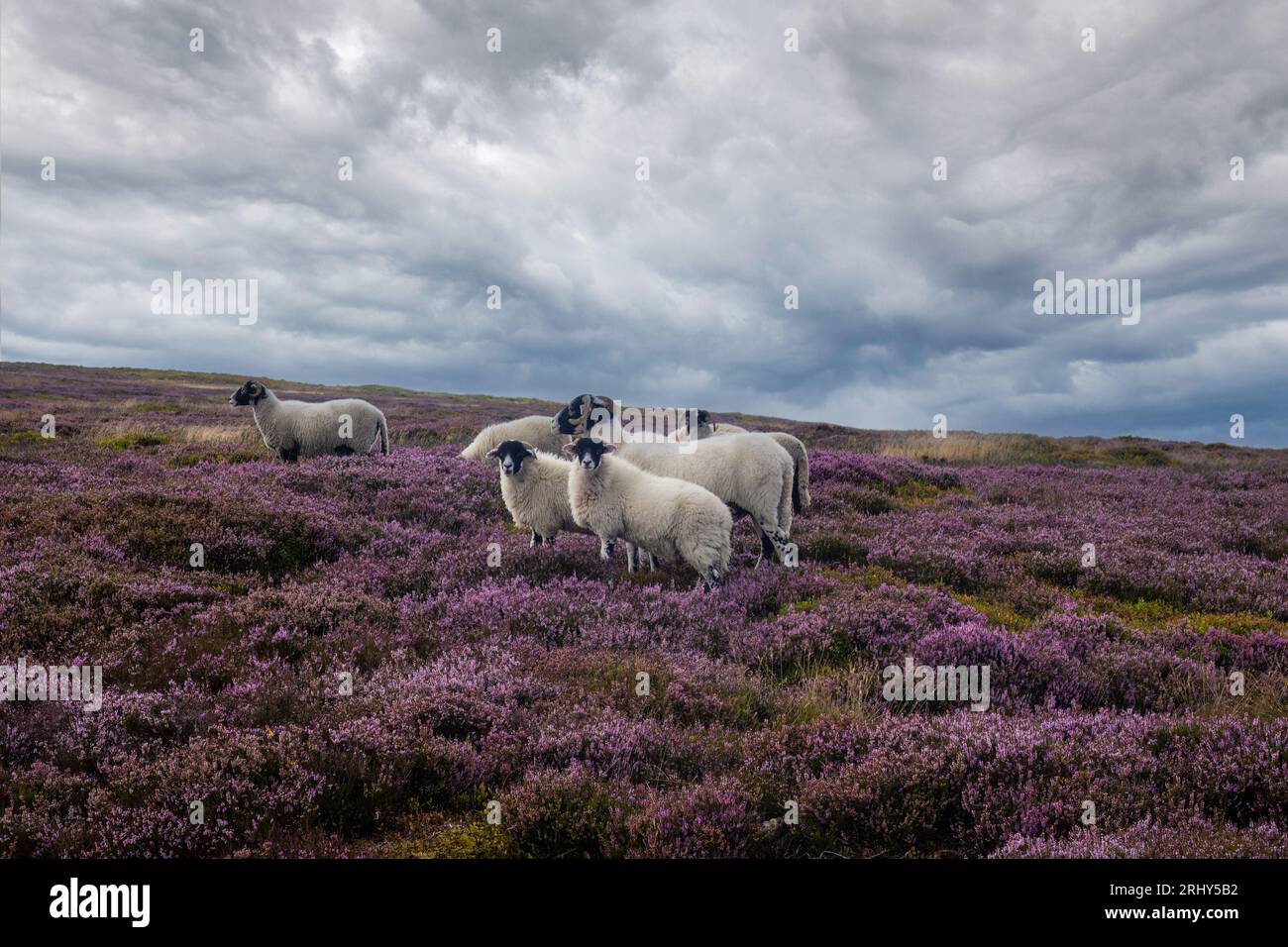Cracoe memorial hi-res stock photography and images - Alamy