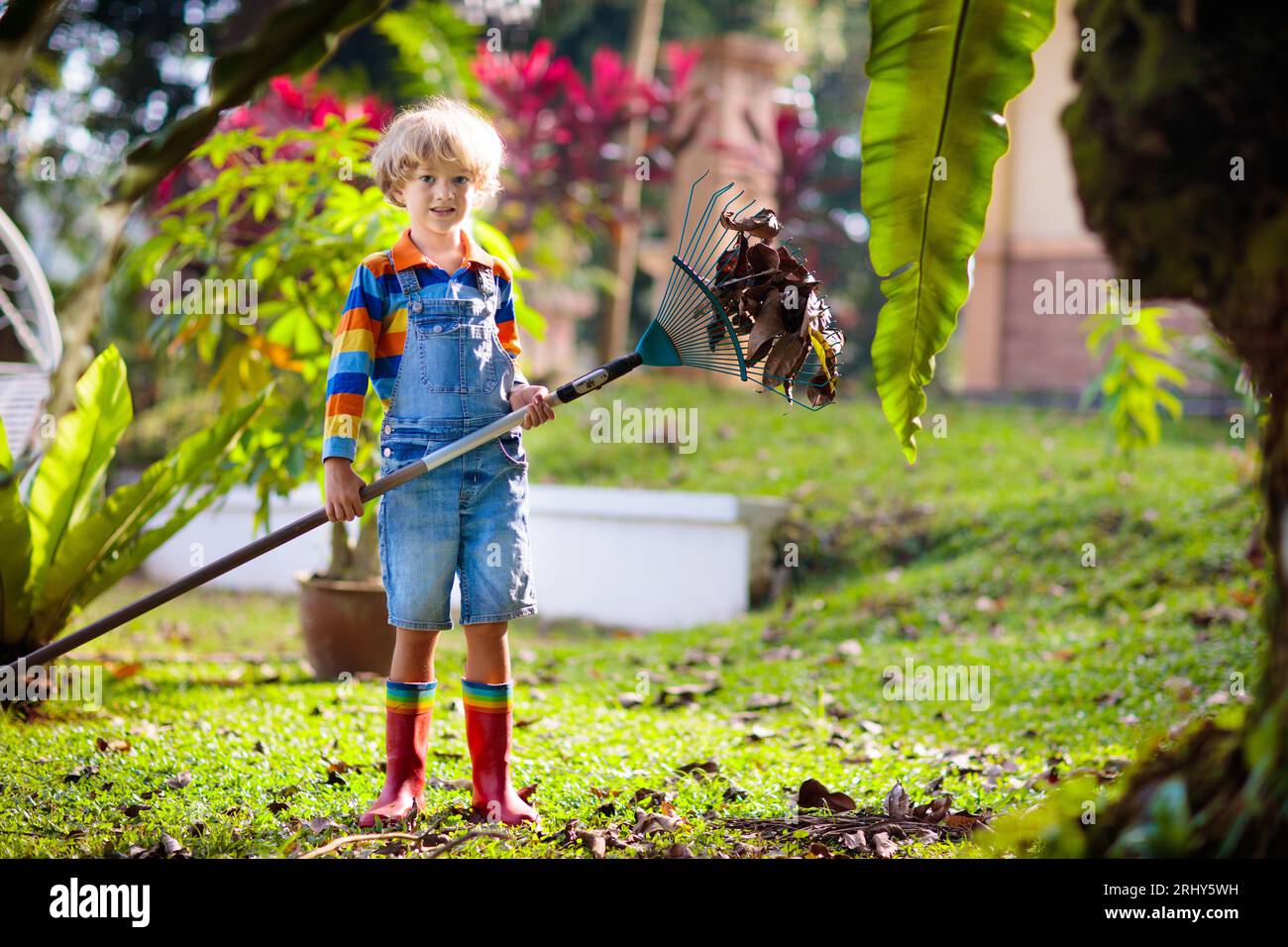 Child and rake in autumn garden. Kid raking leaves in fall. Gardening ...