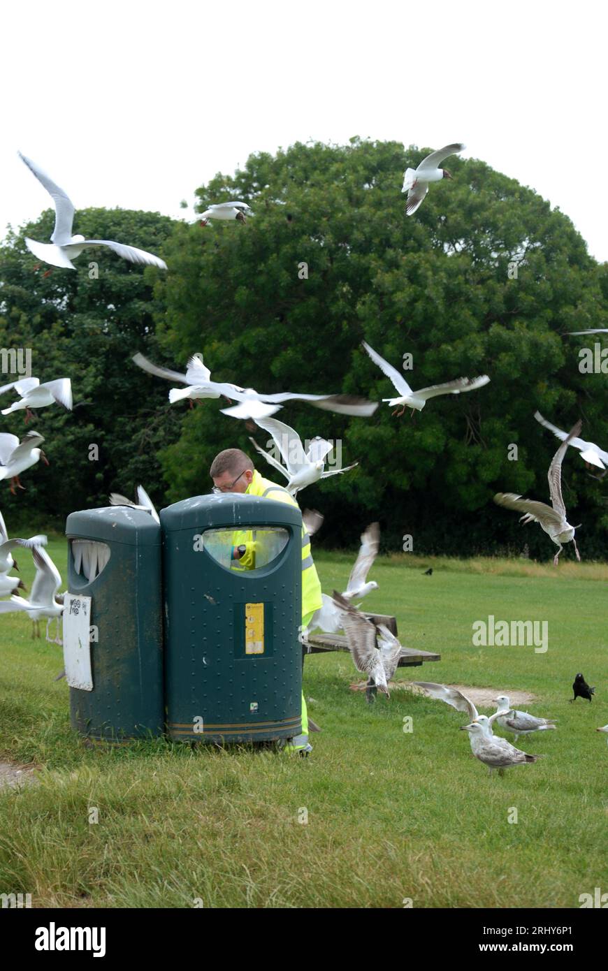 Rubbish collector emptying bins hi-res stock photography and images - Alamy