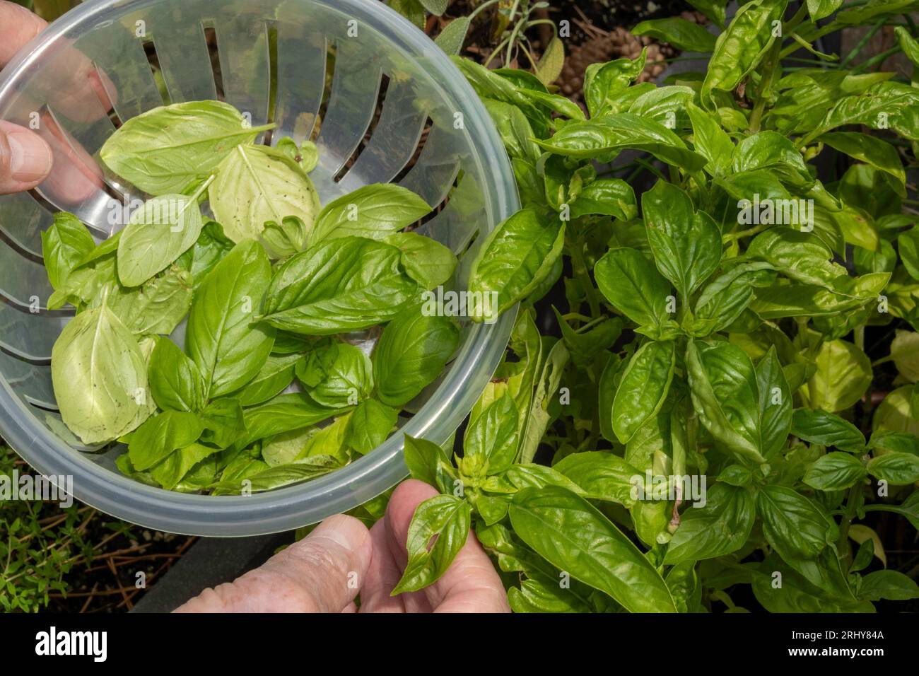 Daylight roof hi-res stock photography and images - Alamy