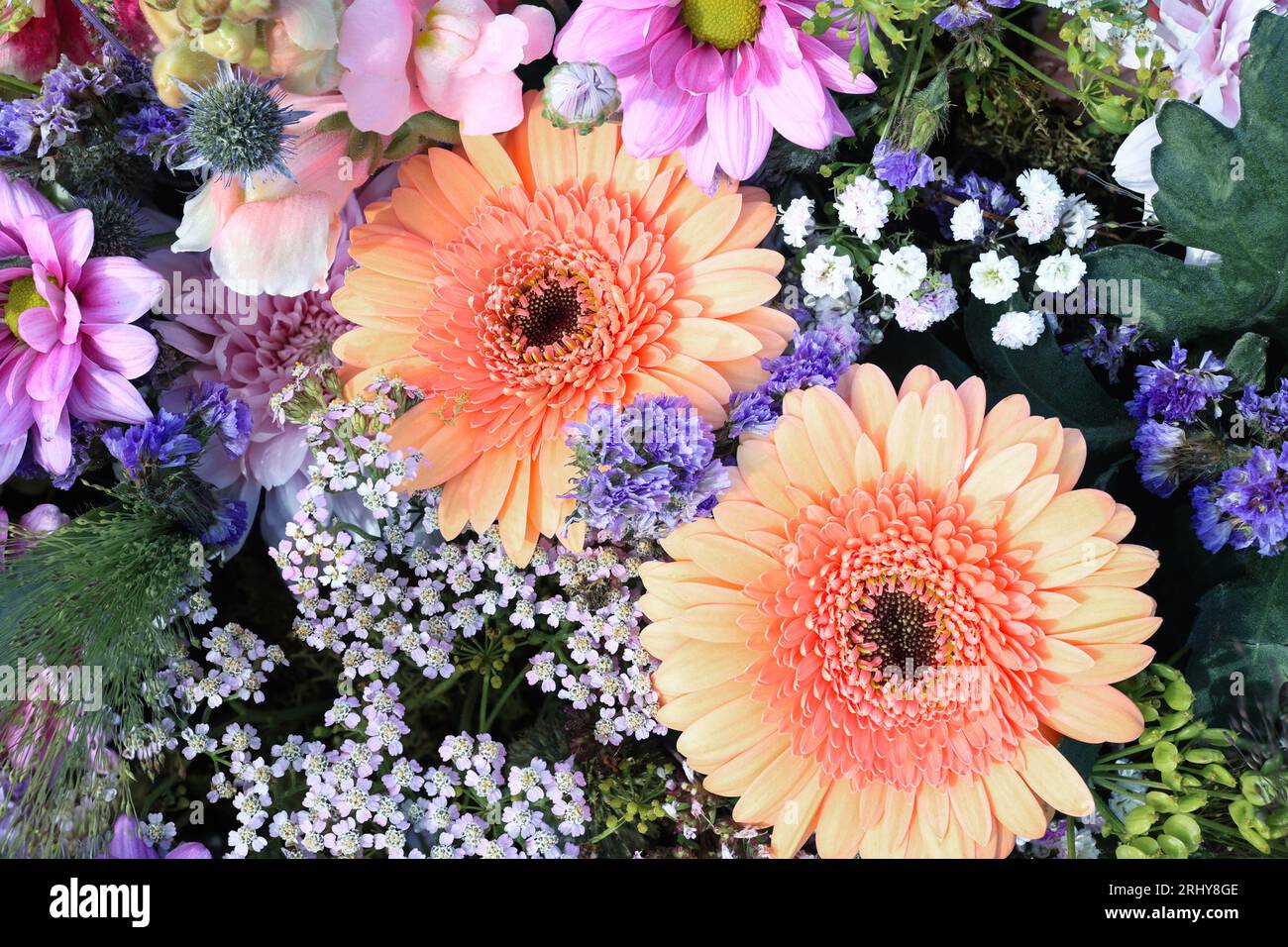 Beautiful colorful flowers background. Flowers decoration, top view ...