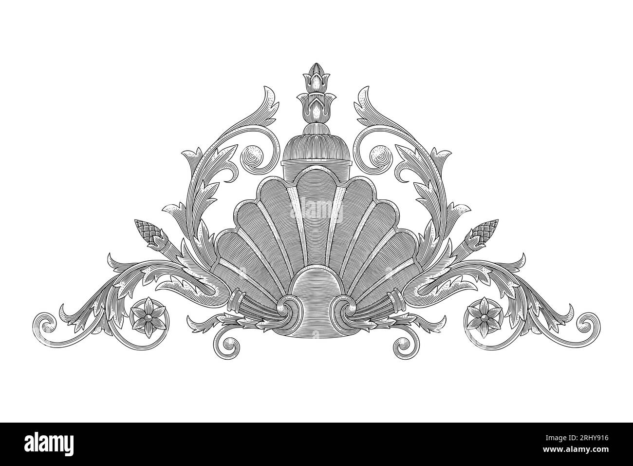 Shell with floral ornament, vintage engraving drawing style vector ...