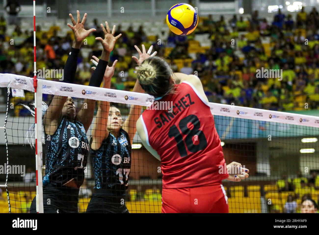 PE - RECIFE - 08/19/2023 - SUL-AMERICAN DE VOLEI FEMALE 2023, ARGENTINA ...