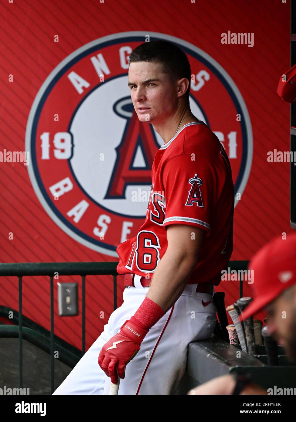 ANAHEIM, CA - AUGUST 19: Los Angeles Angels center fielder Mickey ...