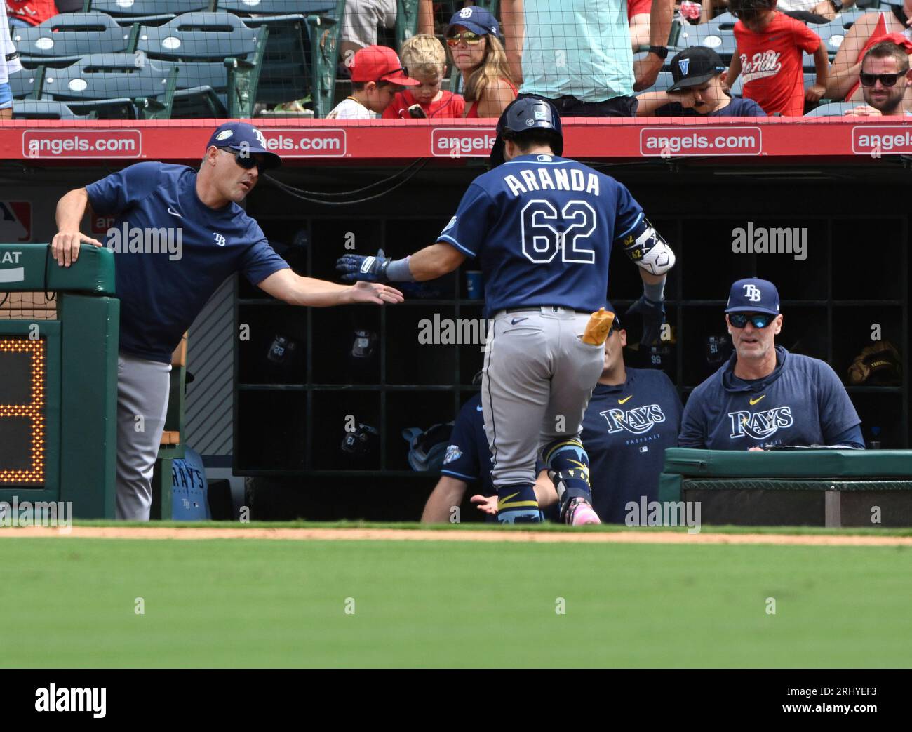 ANAHEIM, CA - AUGUST 19: Tampa Bay Rays first baseman Jonathan Aranda ...