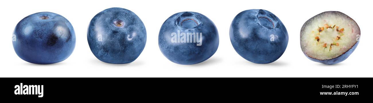 Set with cut and whole blueberries isolated on white Stock Photo - Alamy