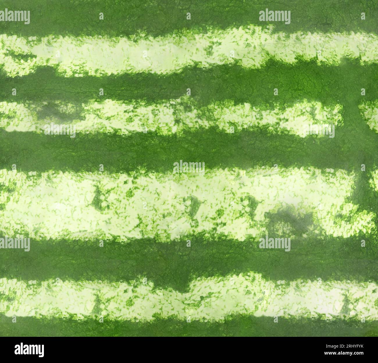 Green striped rind of watermelon as background, closeup Stock Photo - Alamy