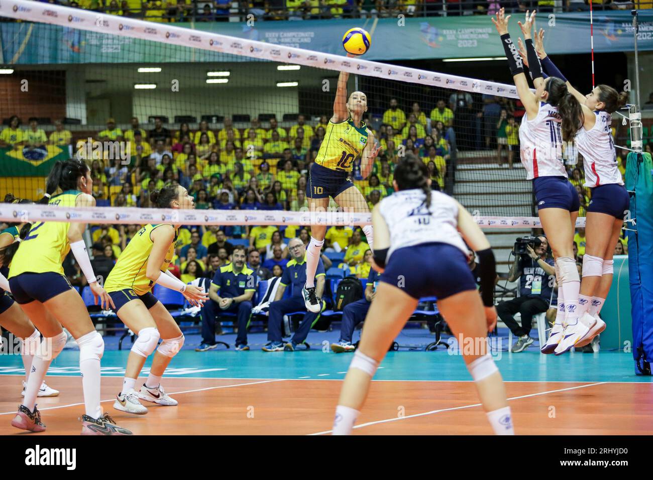 PE - RECIFE - 08/19/2023 - SUL-AMERICAN DE VOLEI FEMININO 2023, BRAZIL ...