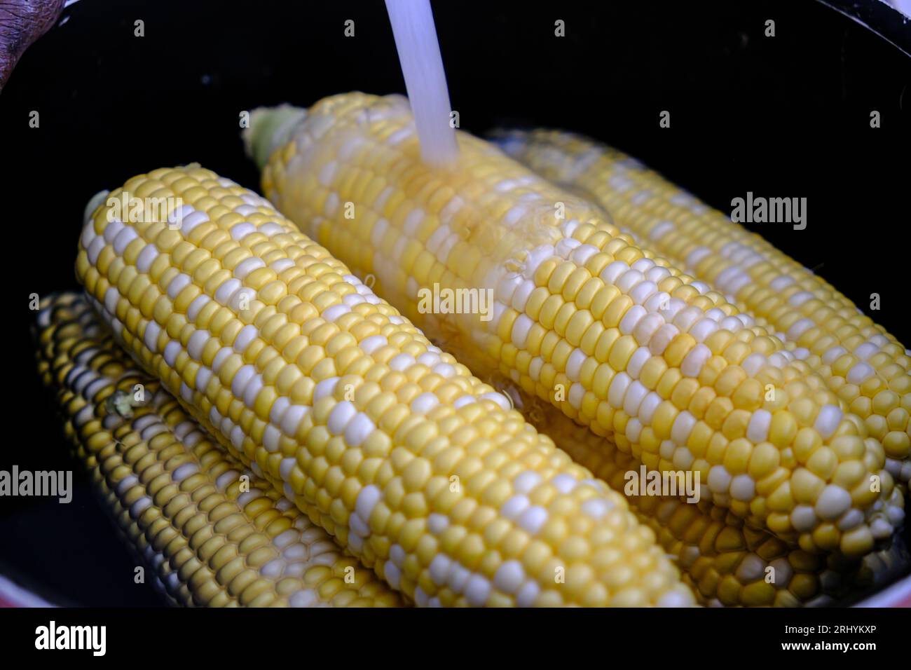 Ears of yellow corn hi-res stock photography and images - Alamy