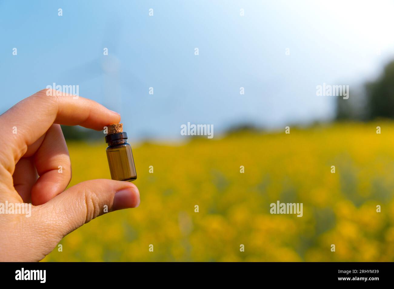 Hand holding test tube with liquid on background of canola flowers ...