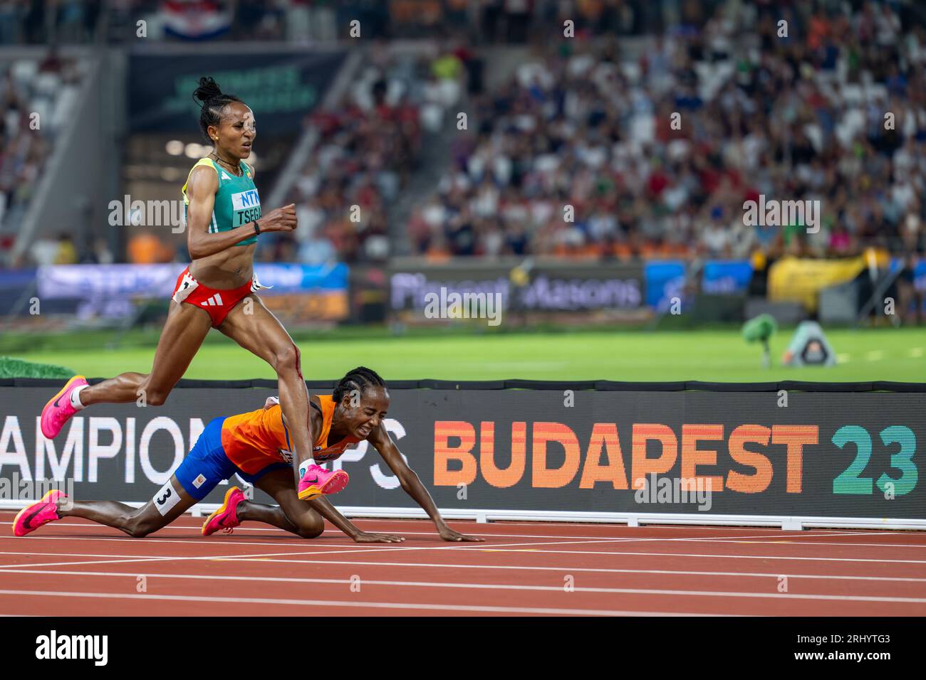 Sifan hassan fall hi-res stock photography and images - Alamy