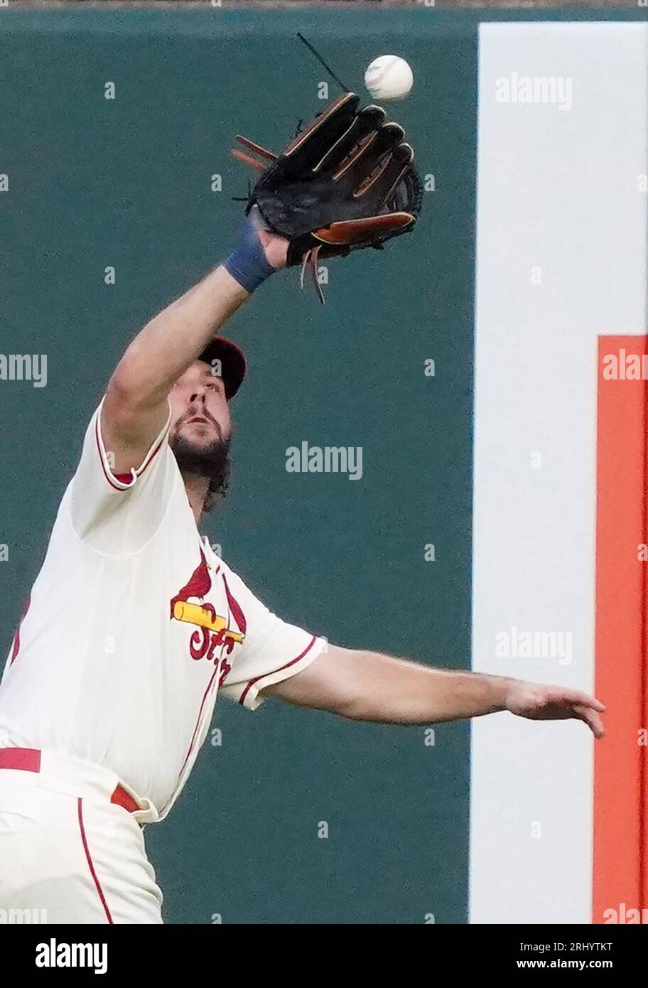 St. Louis, United States. 19th Aug, 2023. St. Louis Cardinals right ...
