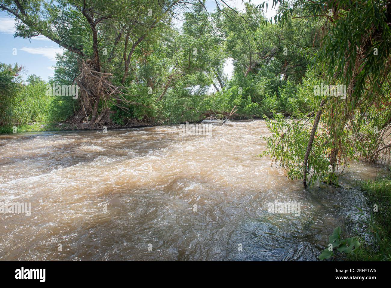Cottonwood verde hi-res stock photography and images - Alamy