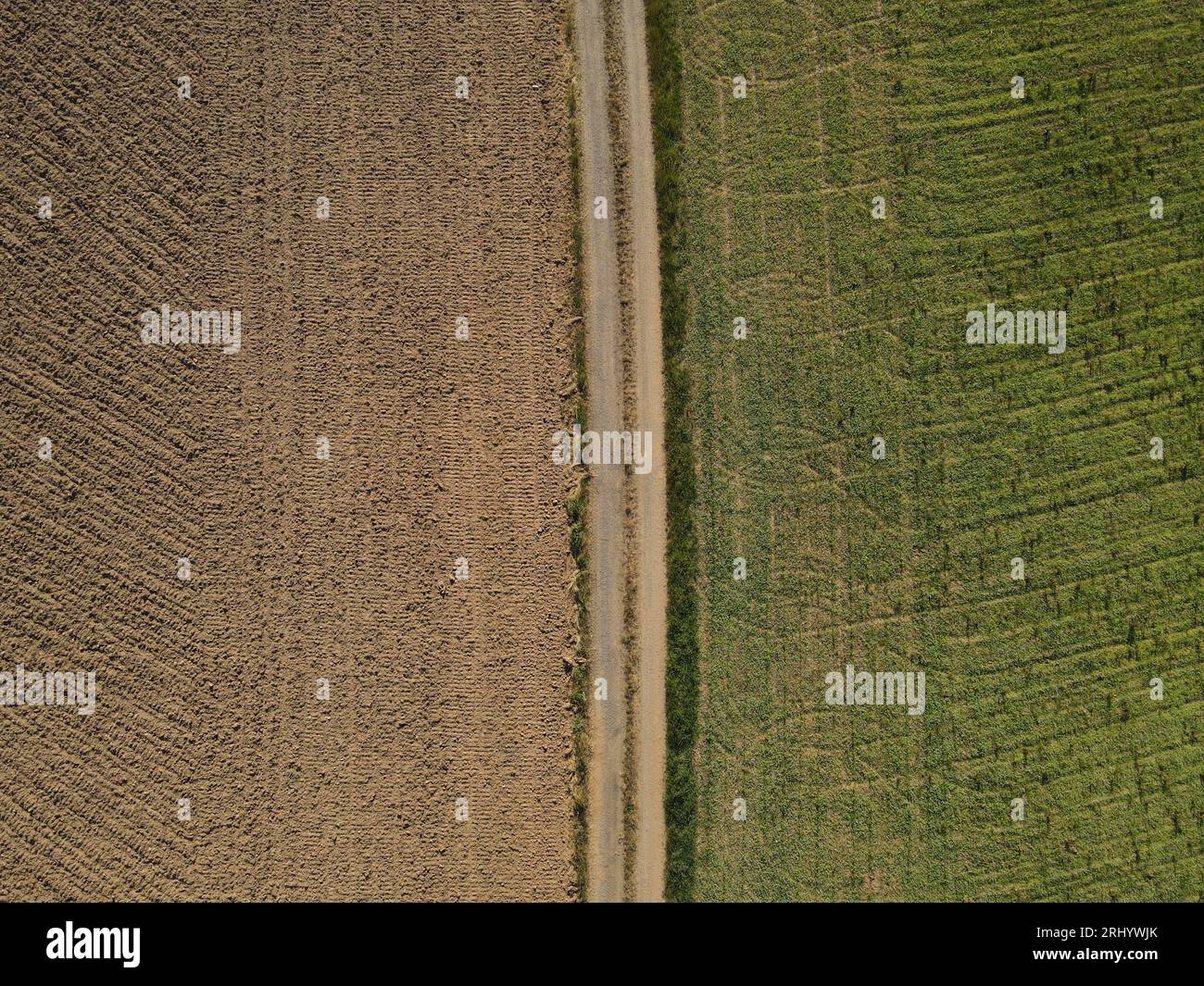 Dirt road in the landscape between green crop field and brown dirt ...