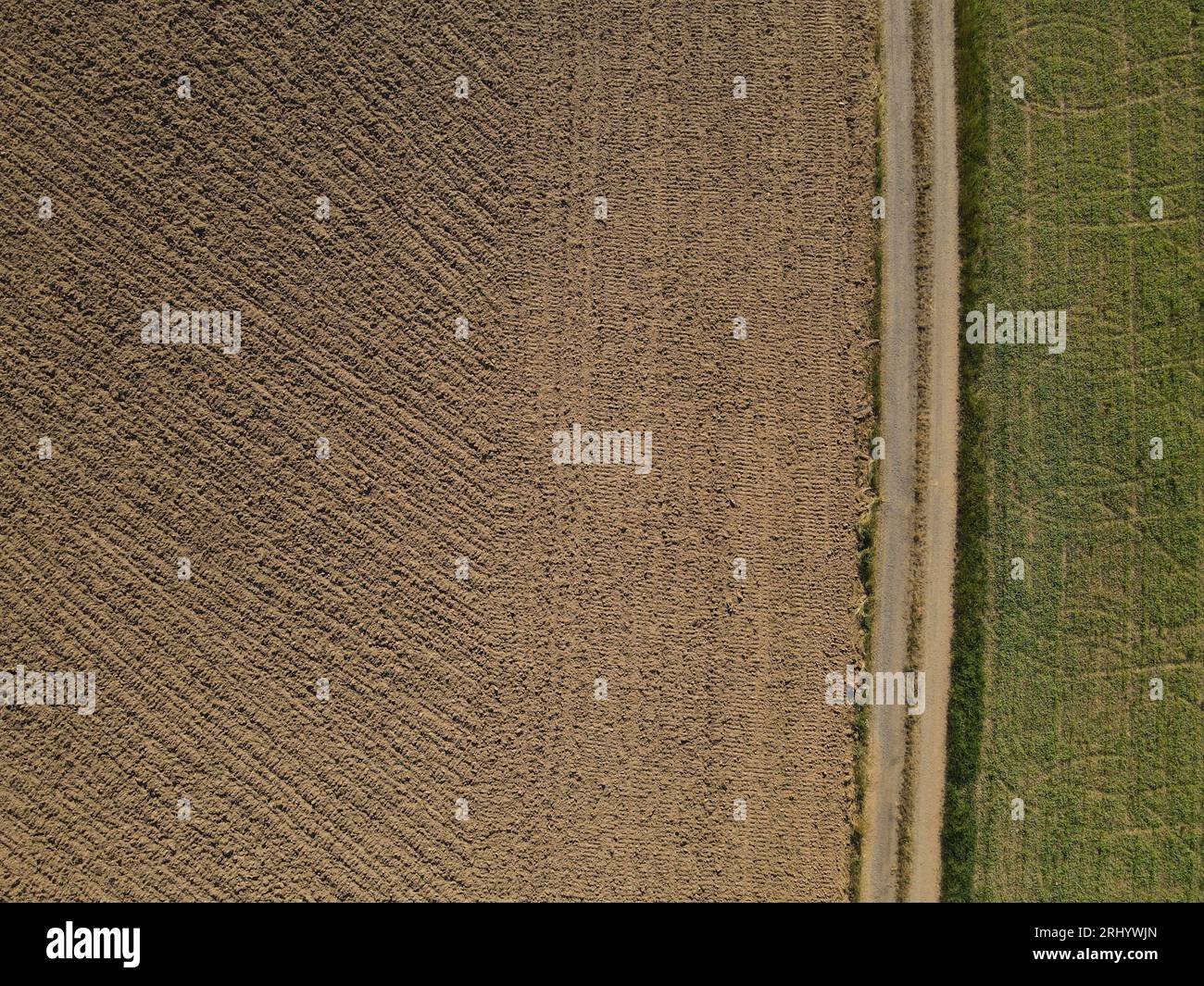 Dirt road in the landscape between green crop field and brown dirt ...