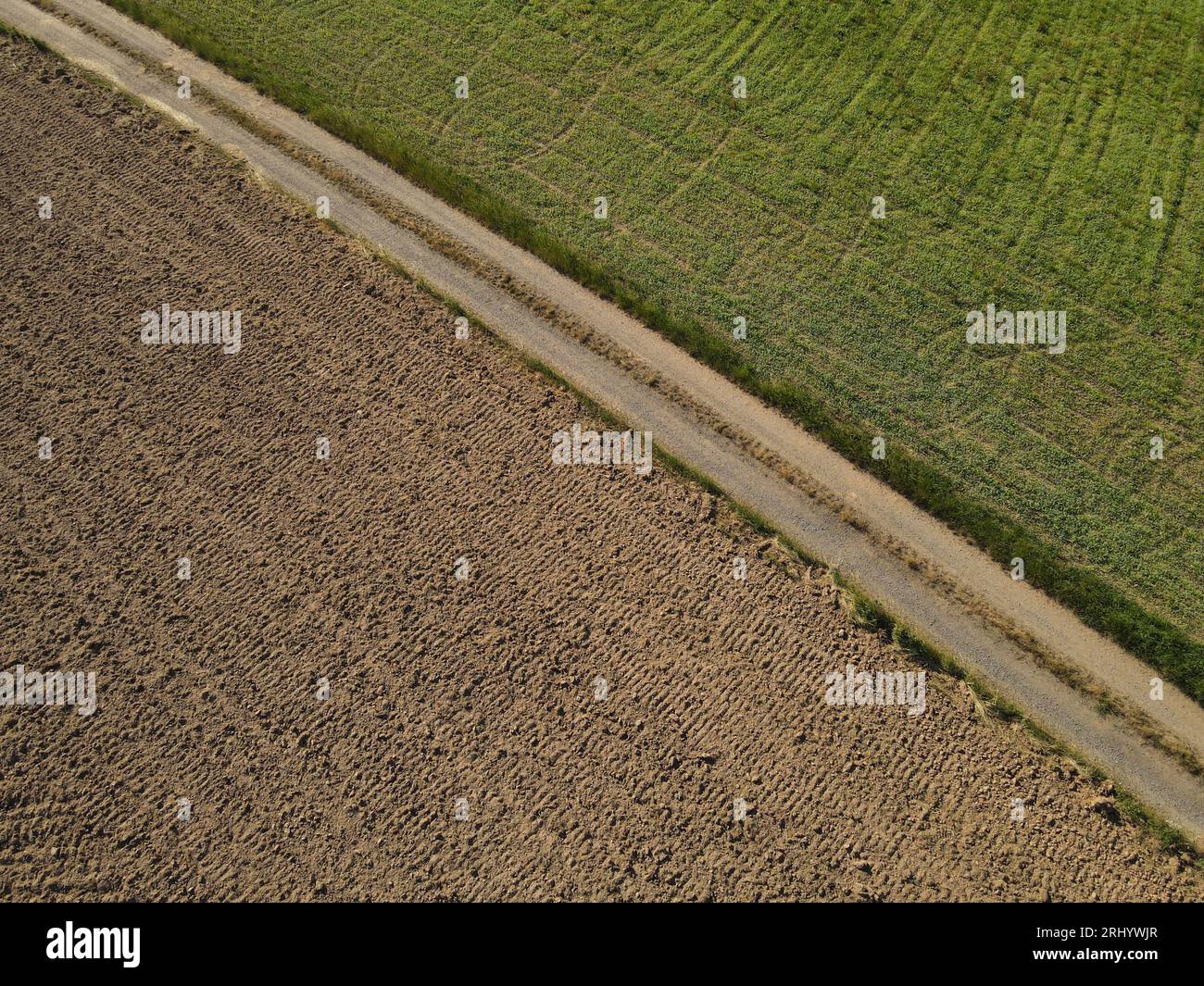 Dirt road in the landscape between green crop field and brown dirt ...