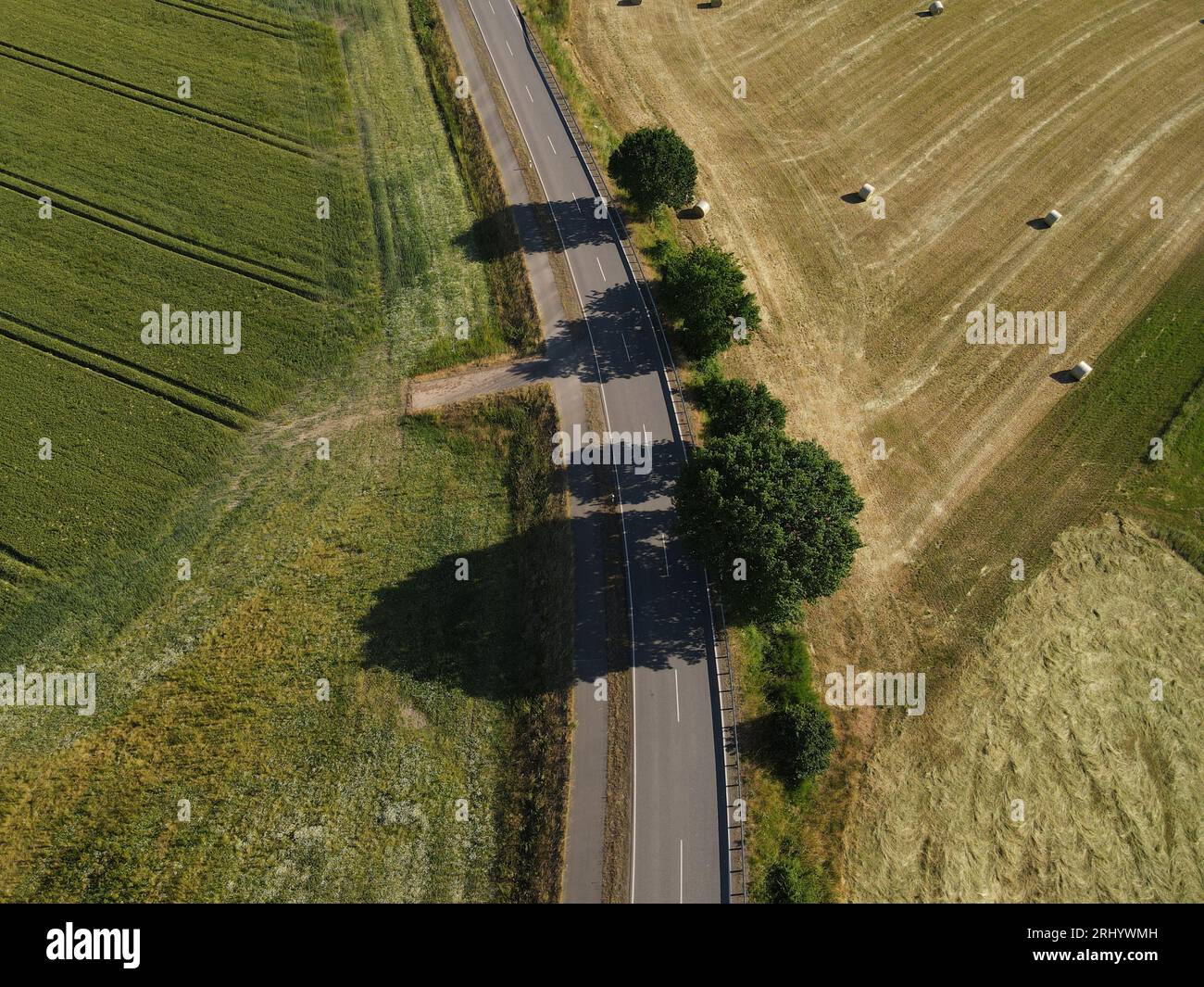 Drone view of a road in the landscape between mowed grass fields and ...