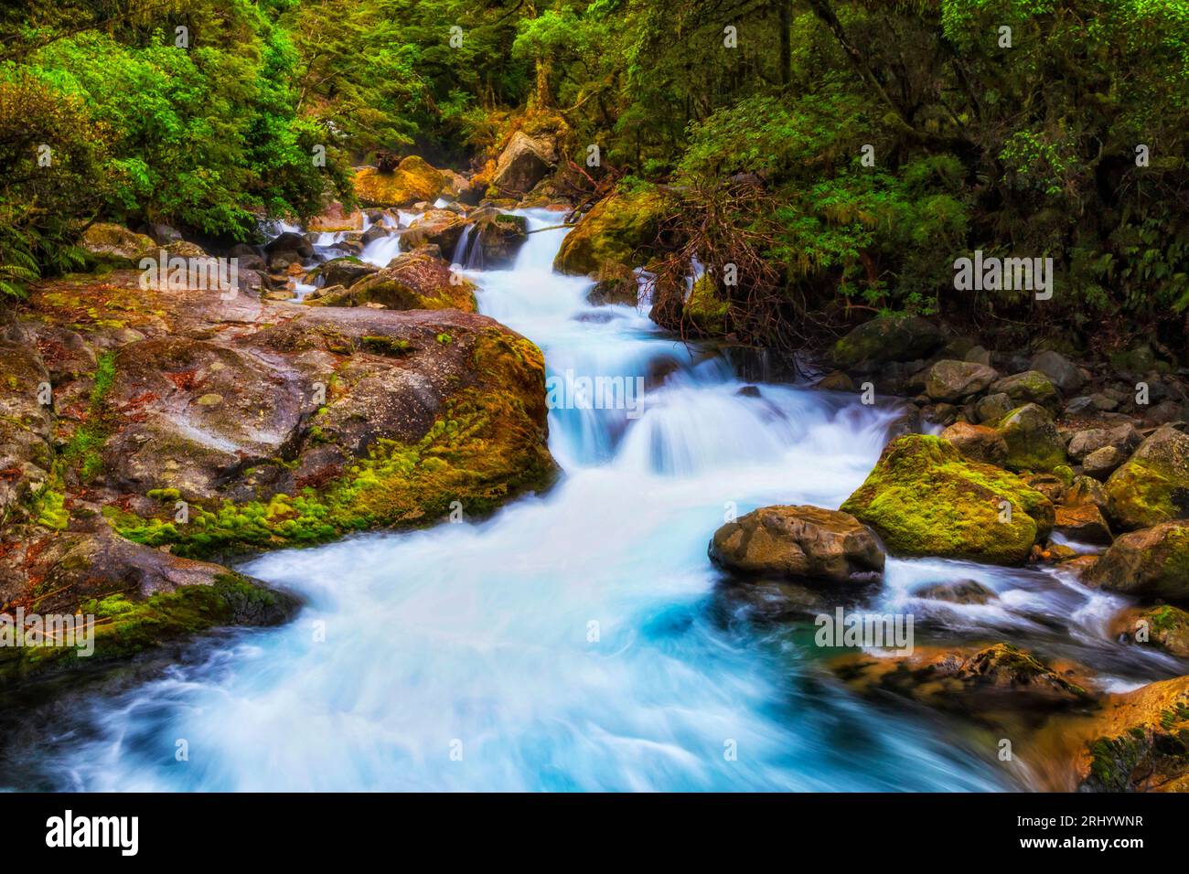 Remote pristine scenic stream of freshwater river on Lake Marian track ...