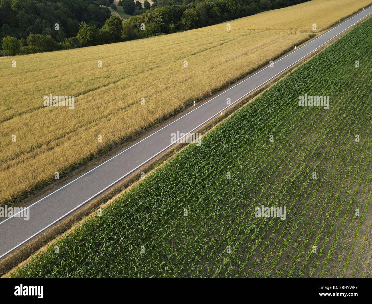 Aerial view of a road between crop and corn fields in the countryside ...