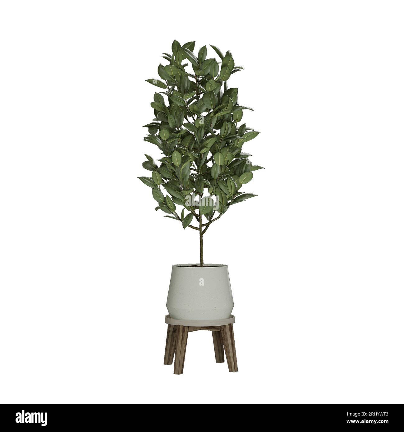 Cactus christmas tree Cut Out Stock Images & Pictures - Alamy