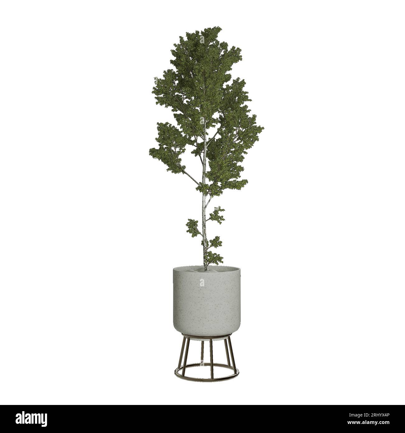 tree isolated on white Stock Photo - Alamy