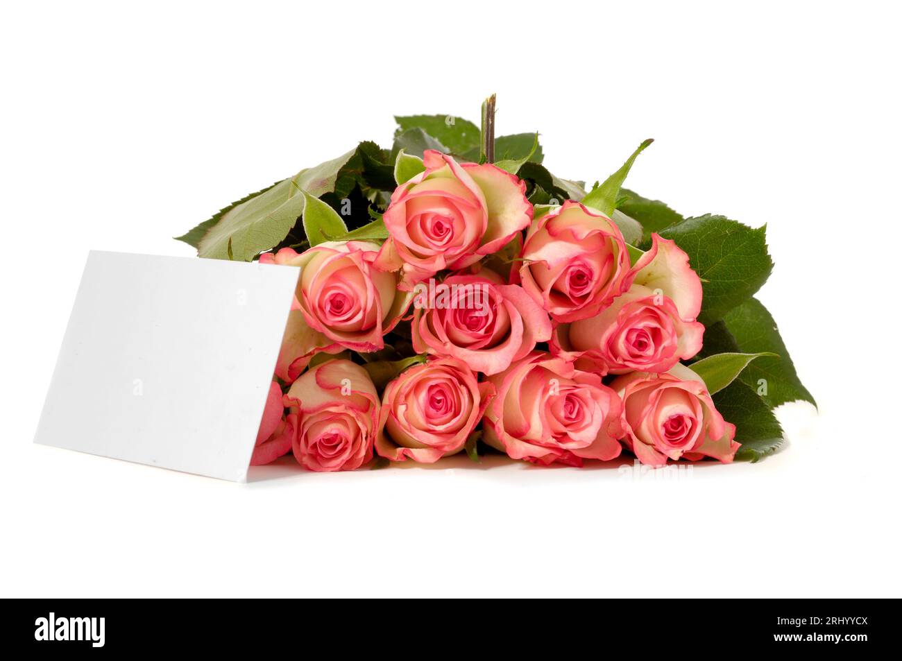 Bouquet of rose flowers with a blank gift card, isolated on white ...