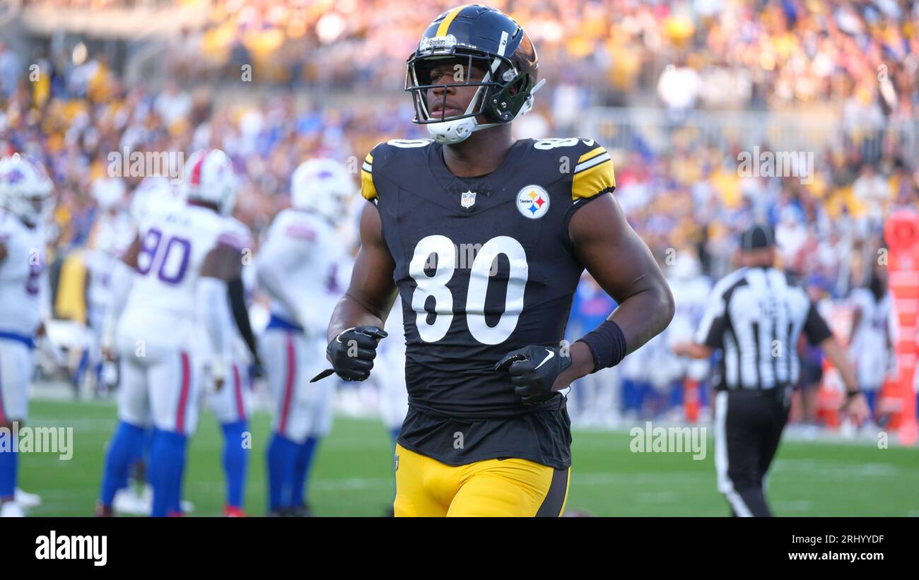Pittsburgh, PA, USA. 19th Aug, 2023. Darnell Washington #80 during the ...