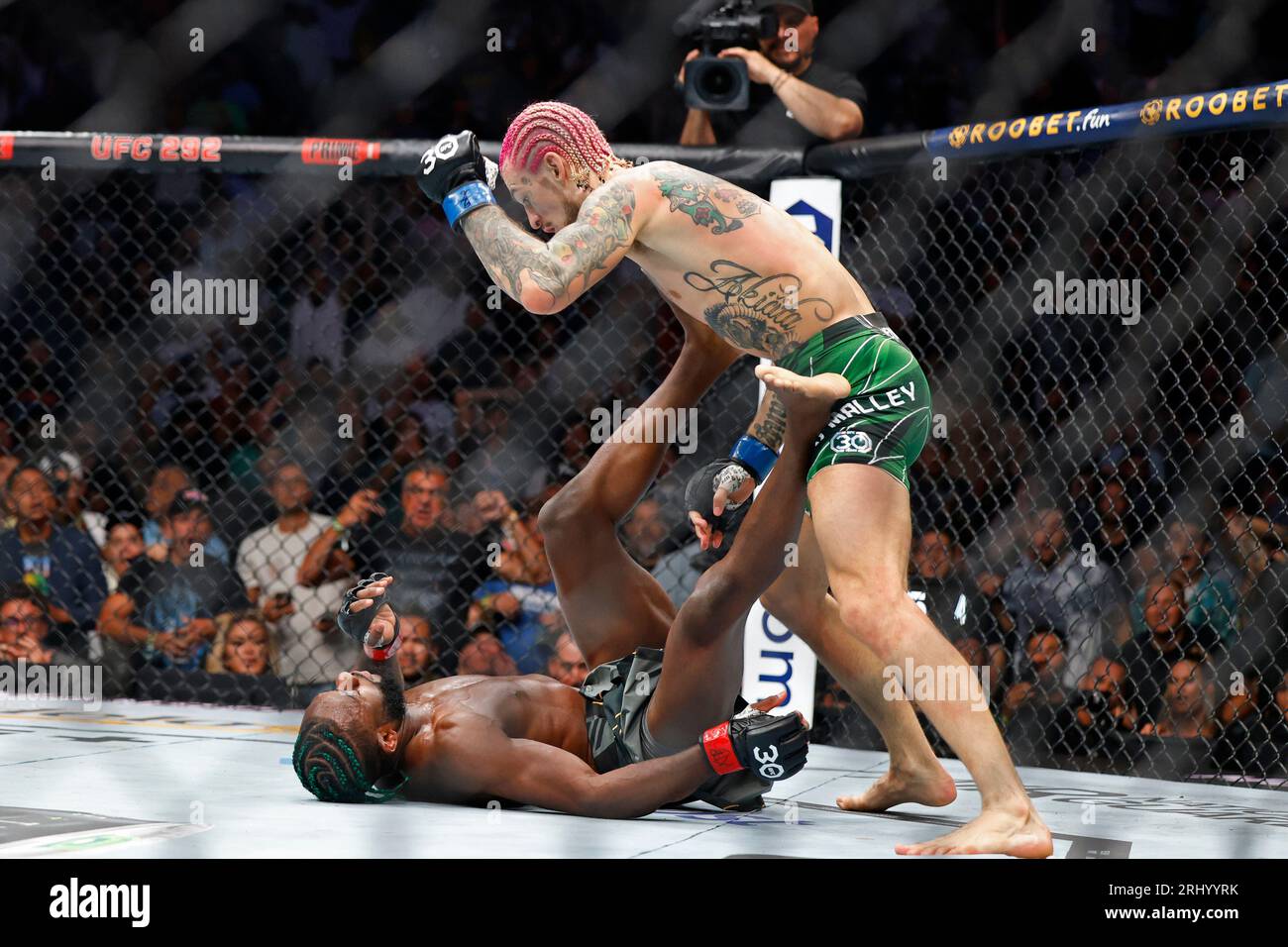 Sean O'Malley, top, lands punches after knocking down Aljamain Sterling ...