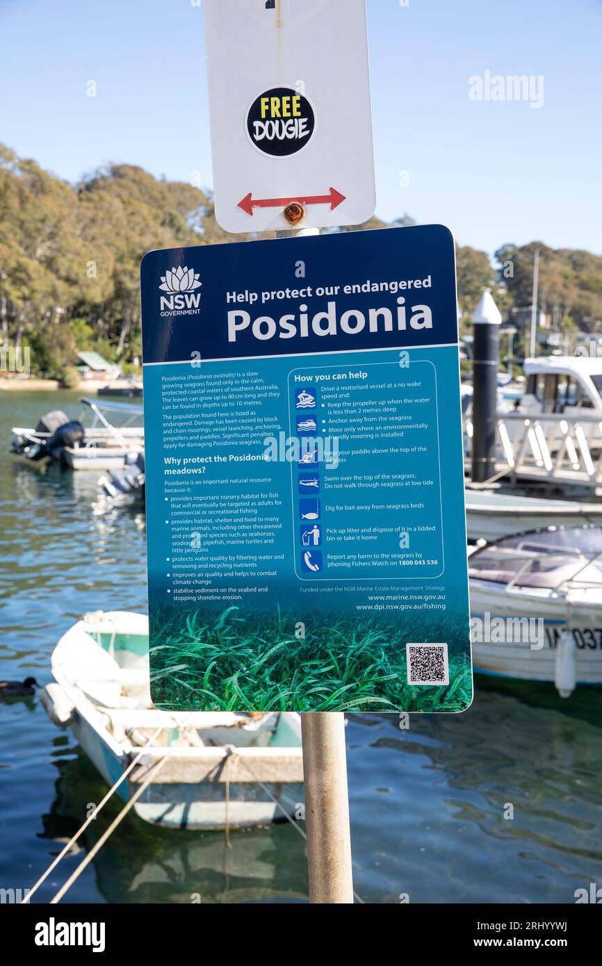 Endangered posidonia hi-res stock photography and images - Alamy