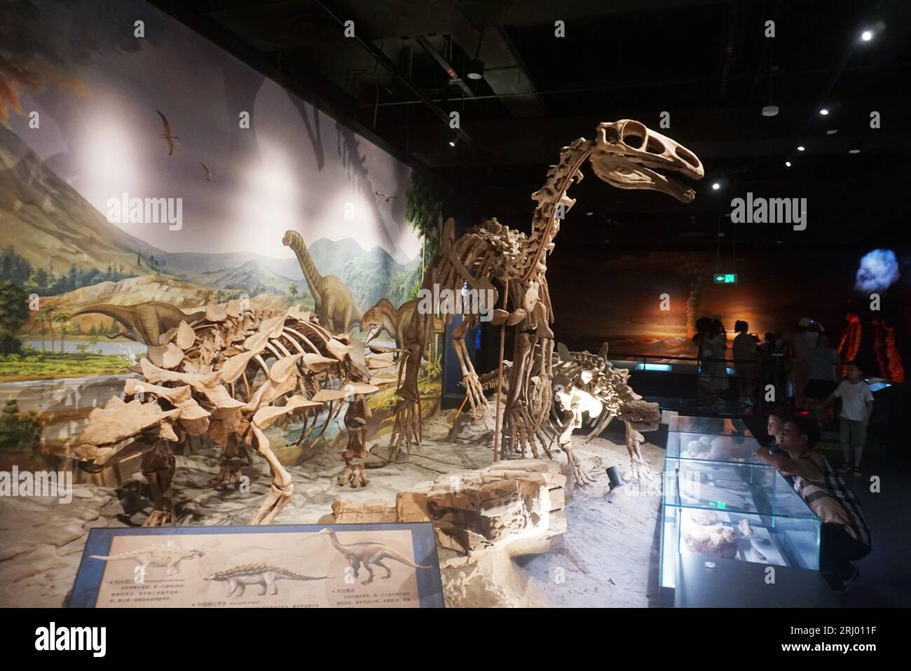 Zhejiang provincial geological museum hi-res stock photography and ...