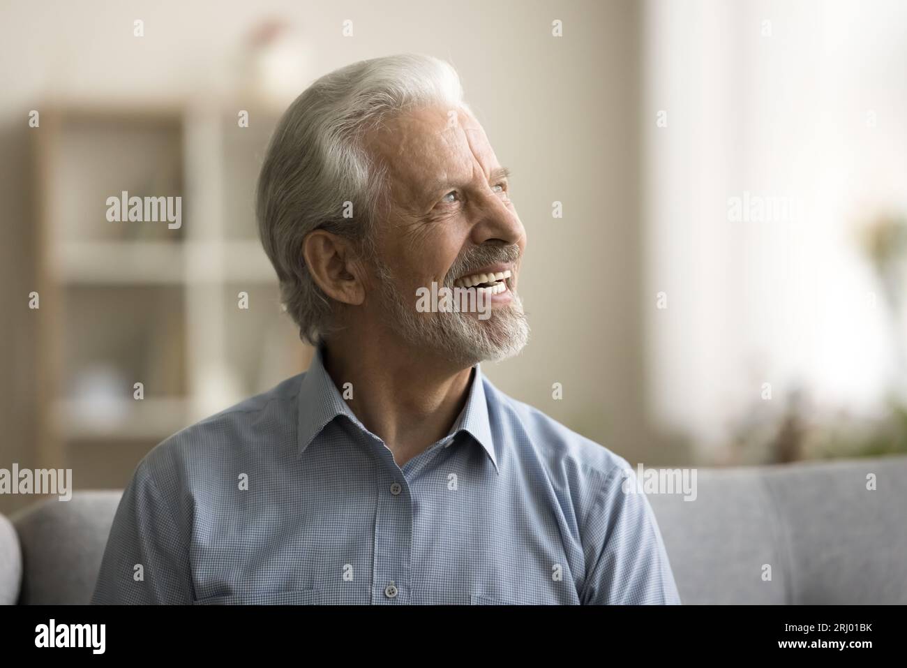 Cheerful dreamy older retired man planning happy retirement Stock Photo ...