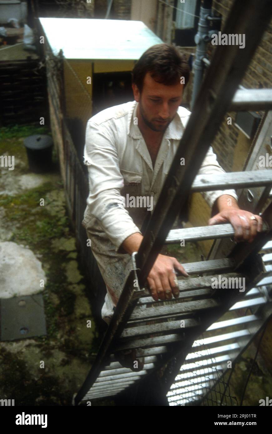 A painter climbing an aluminum ladder outside a window of a house Stock ...