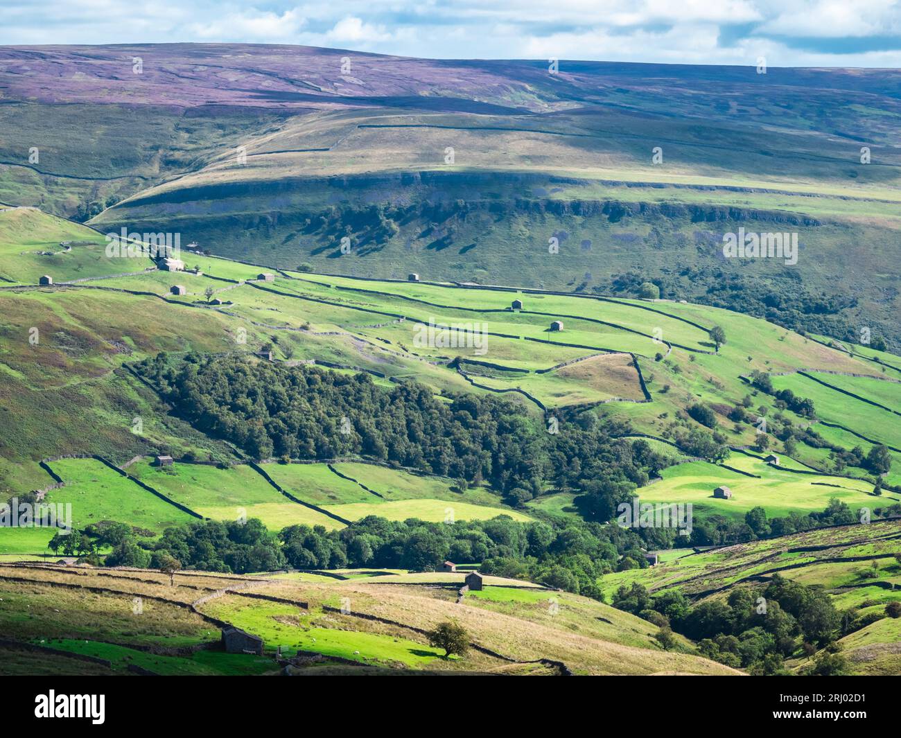 Hillside view of Swaledale Stock Photo - Alamy