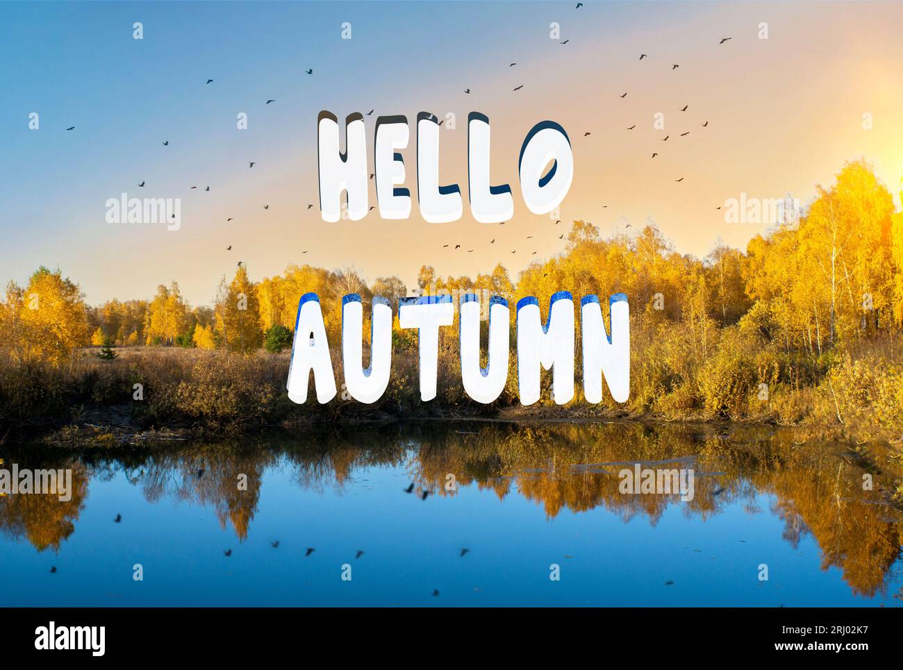 Hello autumn inscription, autumn background. Flock of migratingbirds ...