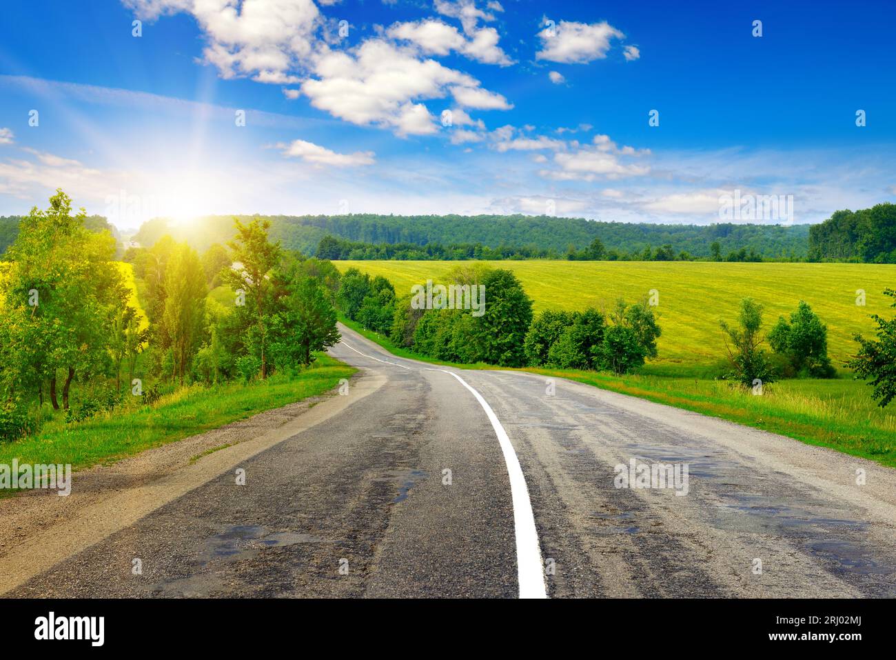 Beautiful Road Sunset