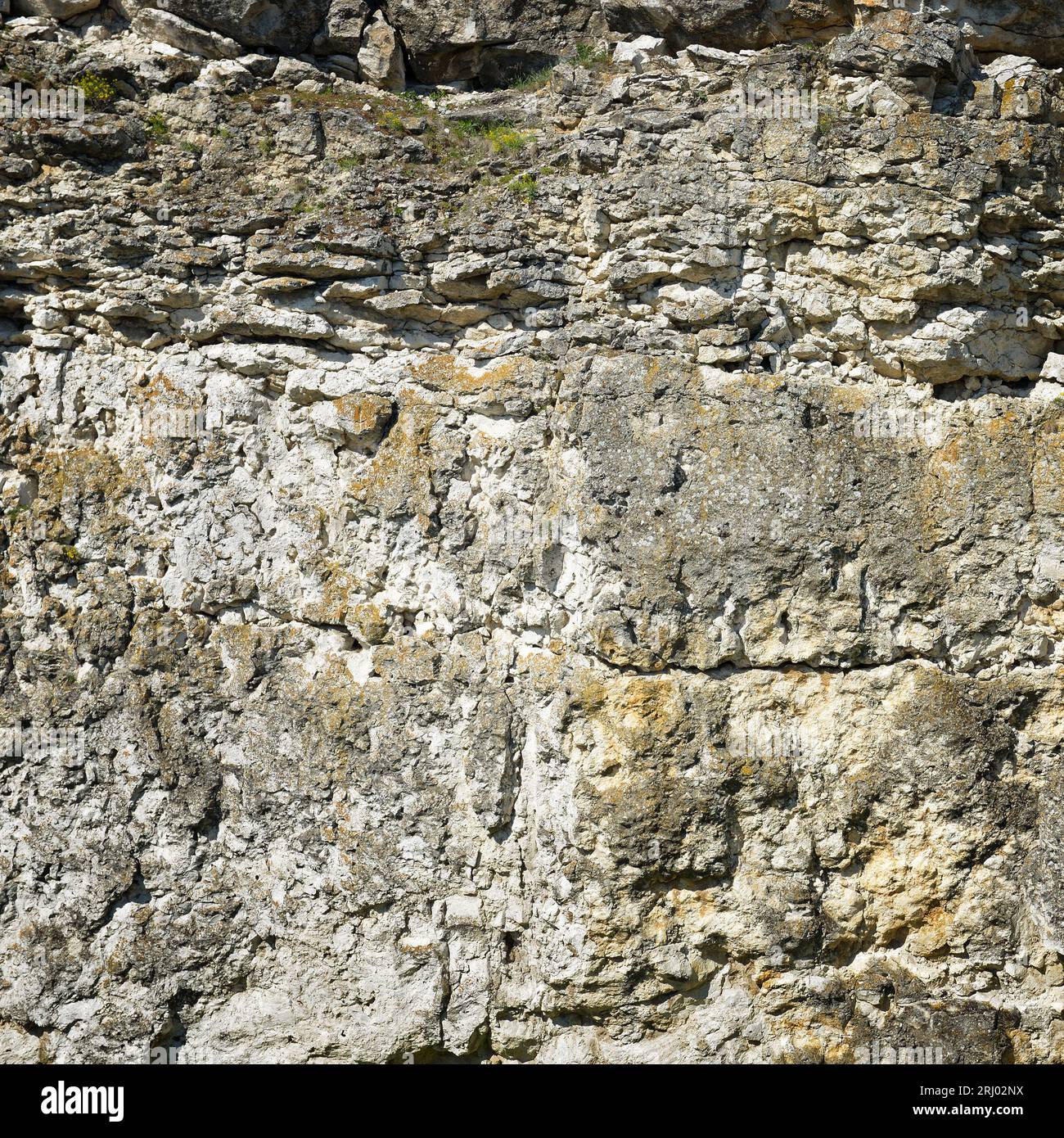 Shelly soil hi-res stock photography and images - Alamy