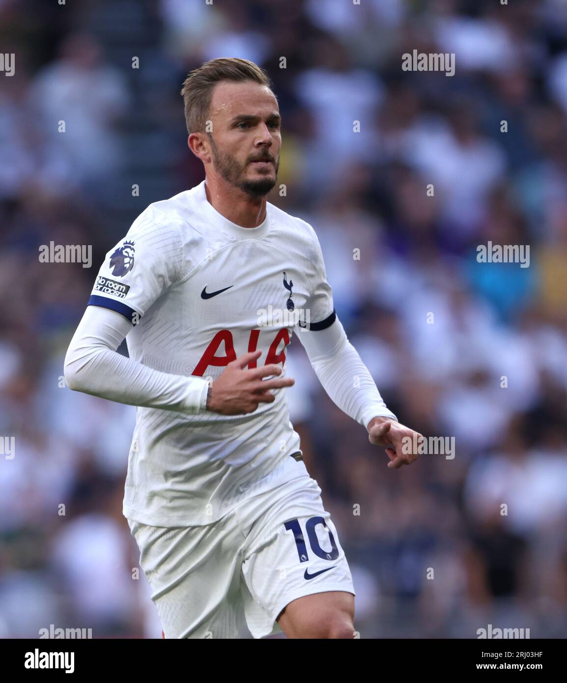James maddison tottenham hi-res stock photography and images - Alamy