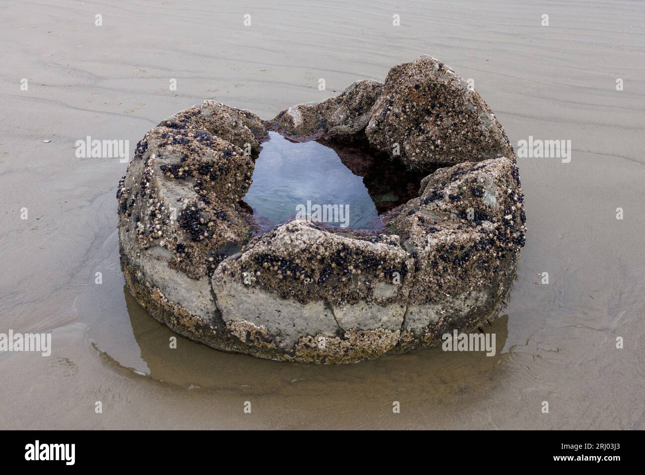 A broken rock at the moeraki boulders. The rock holds water and a ...