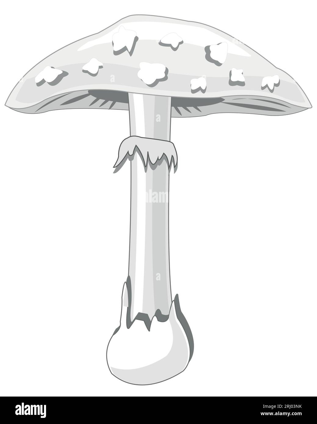 Vector illustration of the poisonous mushroom pale toadstool Stock ...