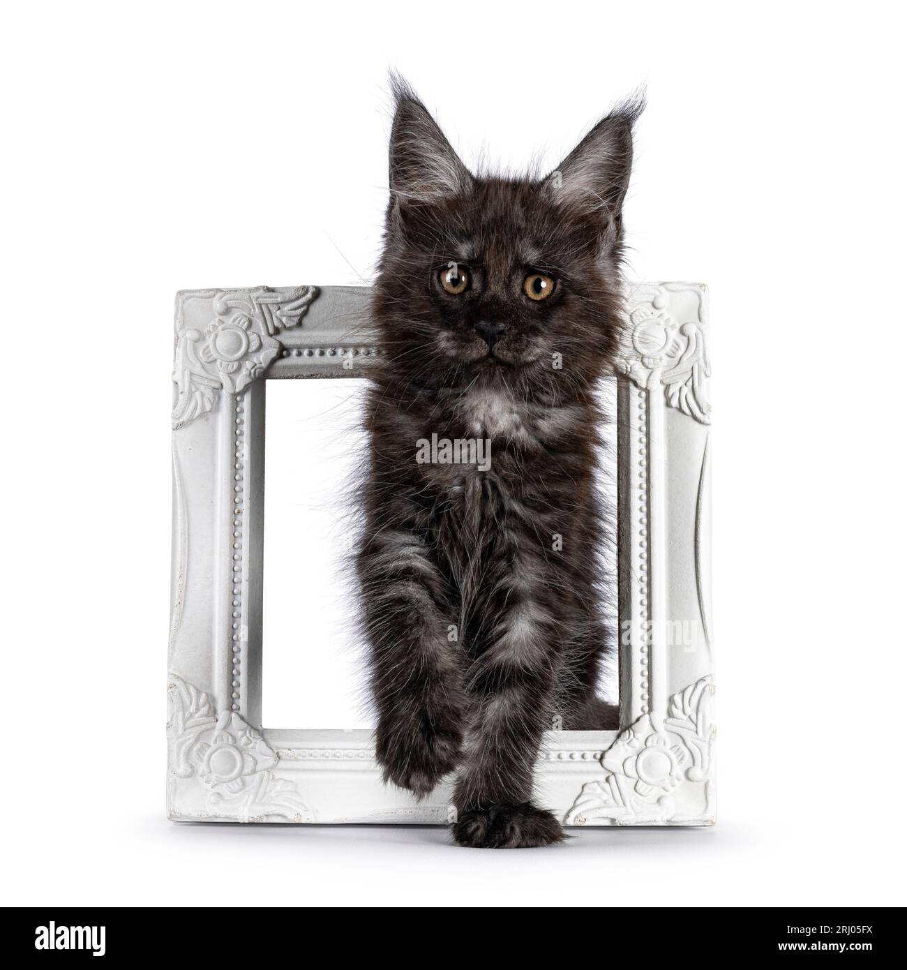 Stepping through frame hi-res stock photography and images - Alamy