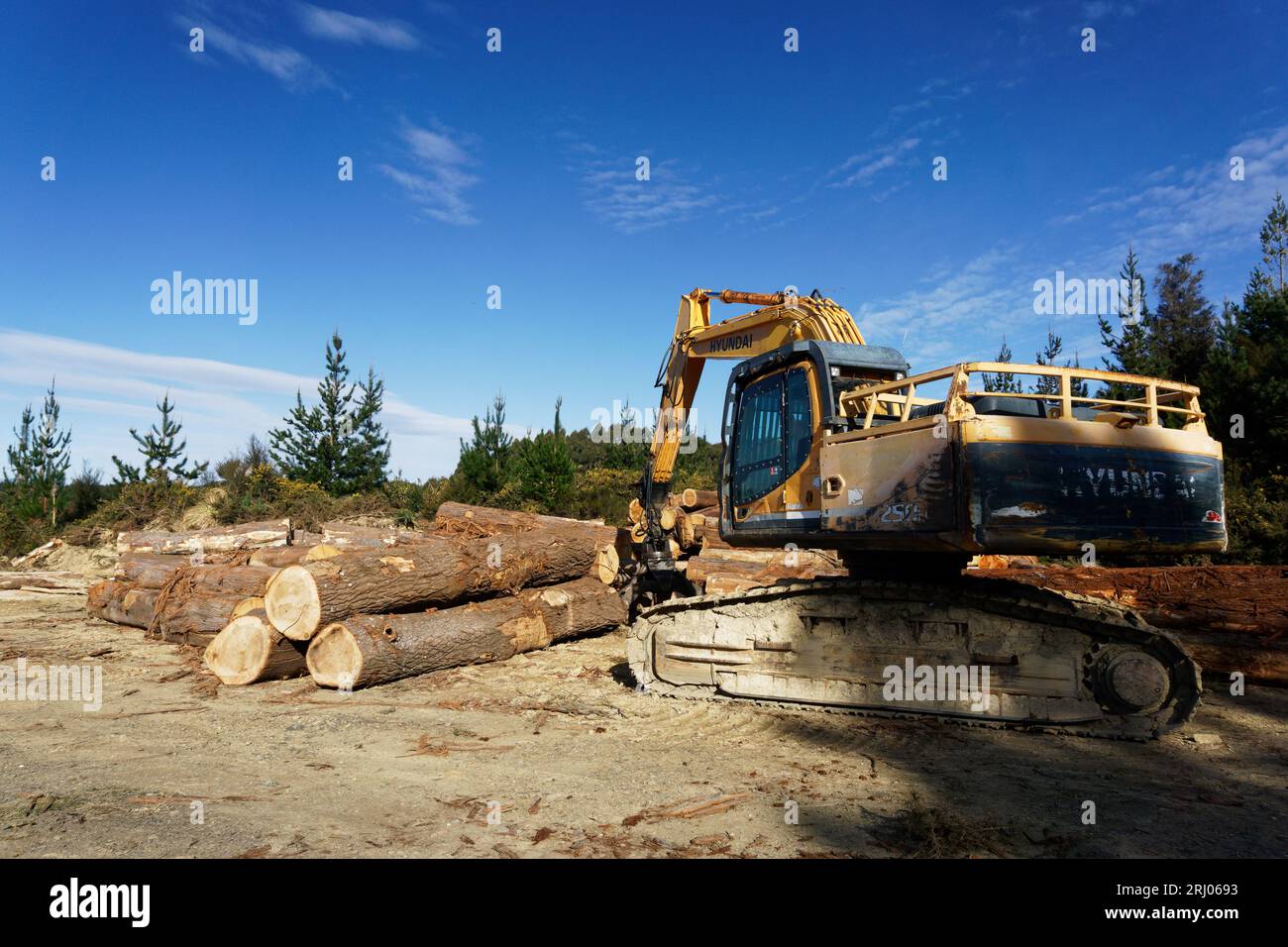 Tasman region, Aotearoa / New Zealand - August 12, 2023: A timber mill operation in a plantation ...