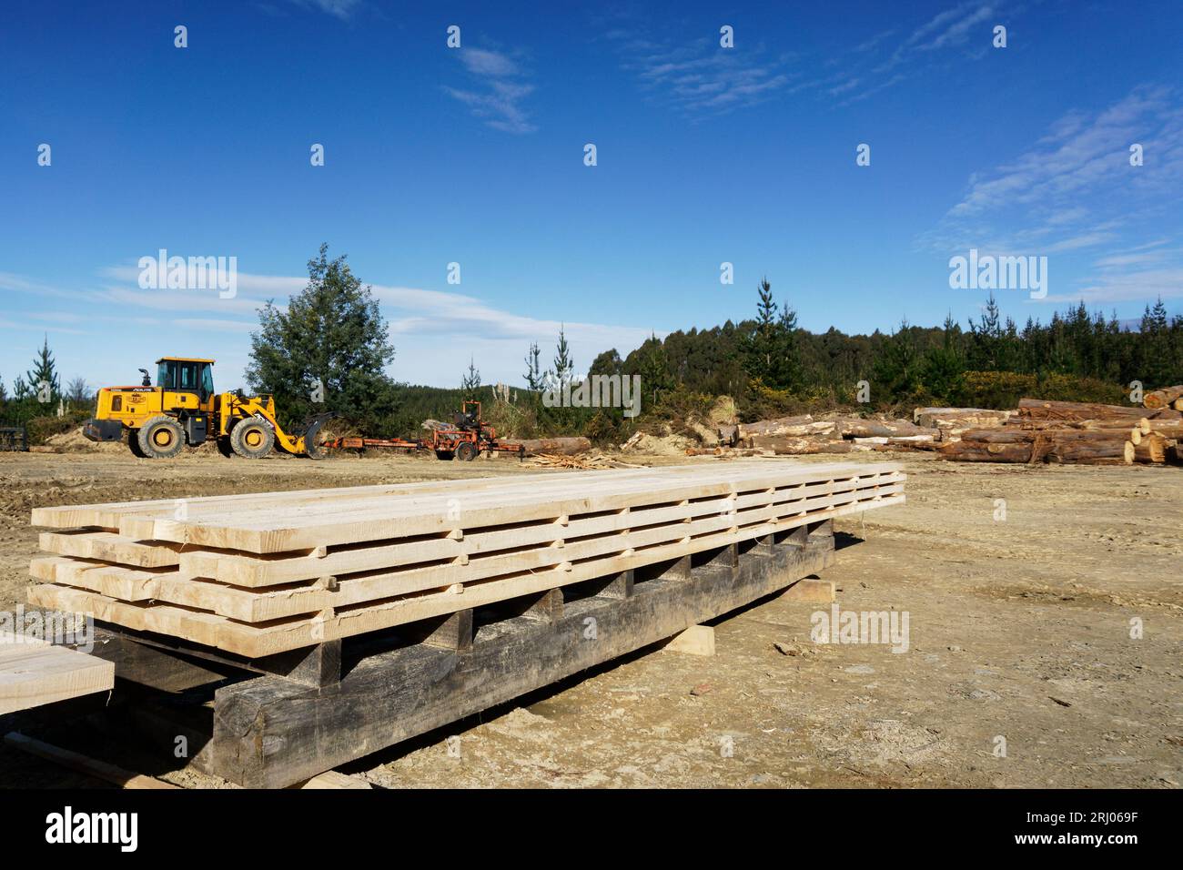 Tasman region, Aotearoa / New Zealand - August 12, 2023: A timber mill operation in a plantation ...