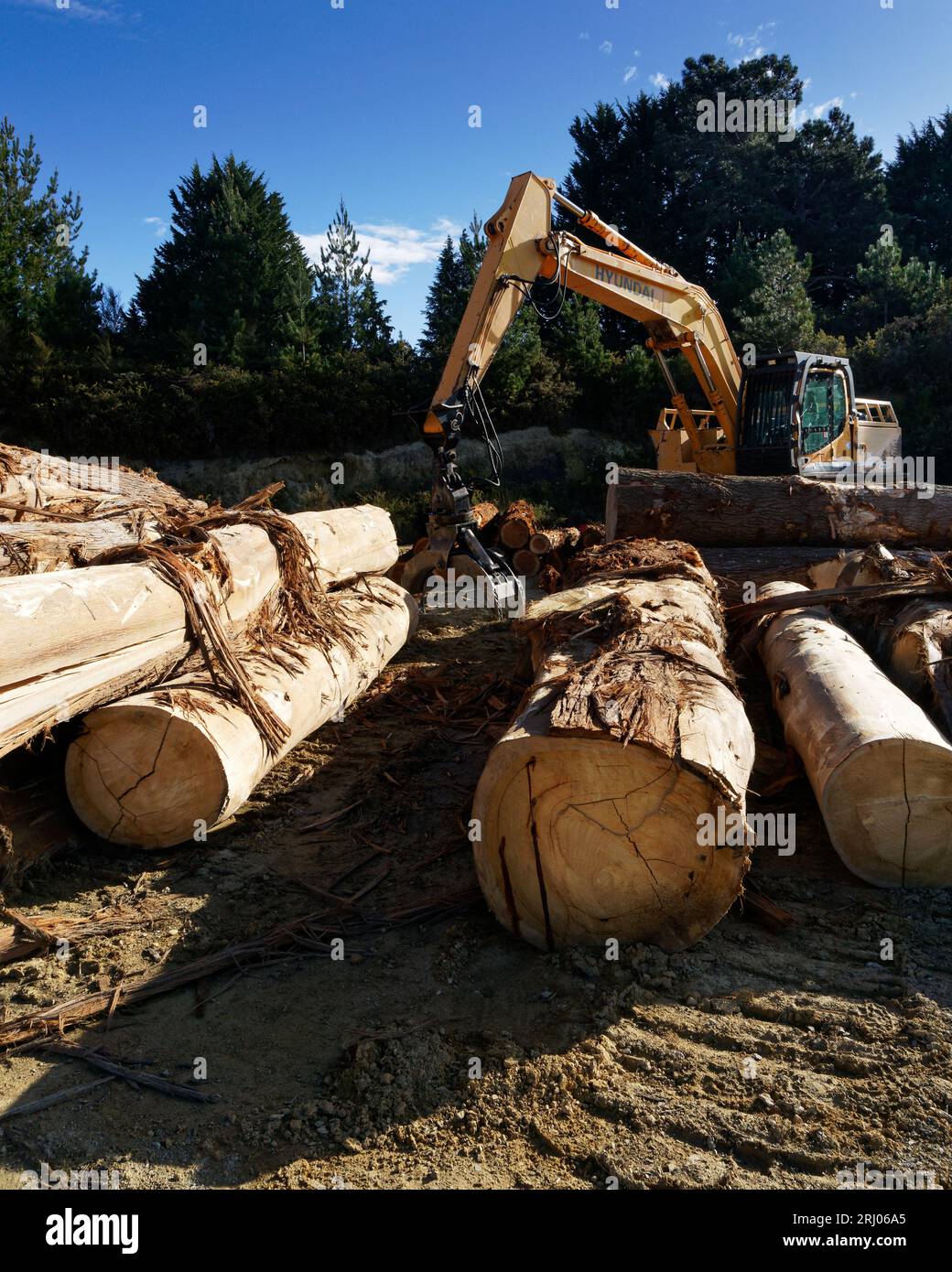 Tasman region, Aotearoa / New Zealand - August 12, 2023: A timber mill ...