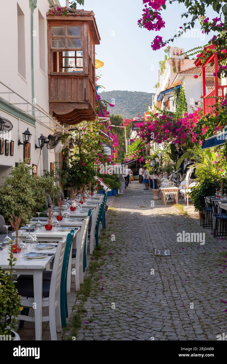 Kalkan bougainvillea hi-res stock photography and images - Alamy