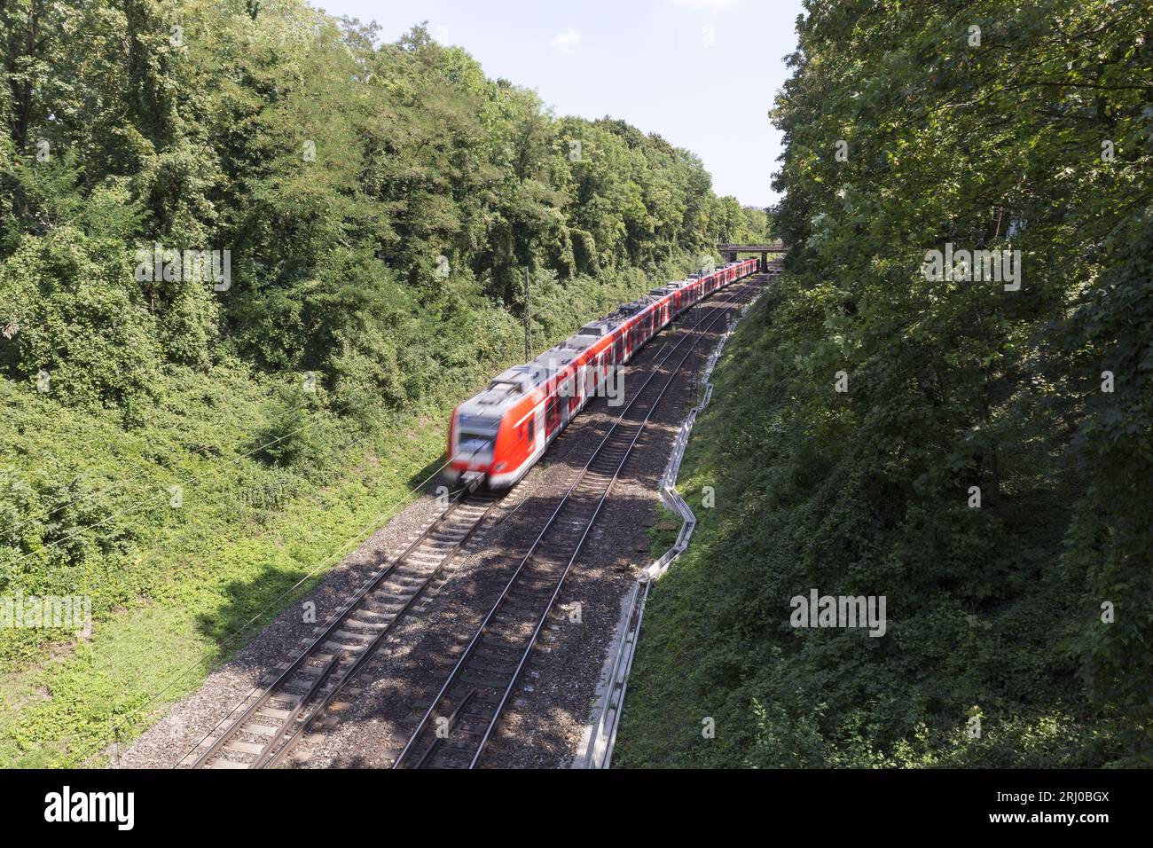Train passing through the forrest Stock Photo - Alamy