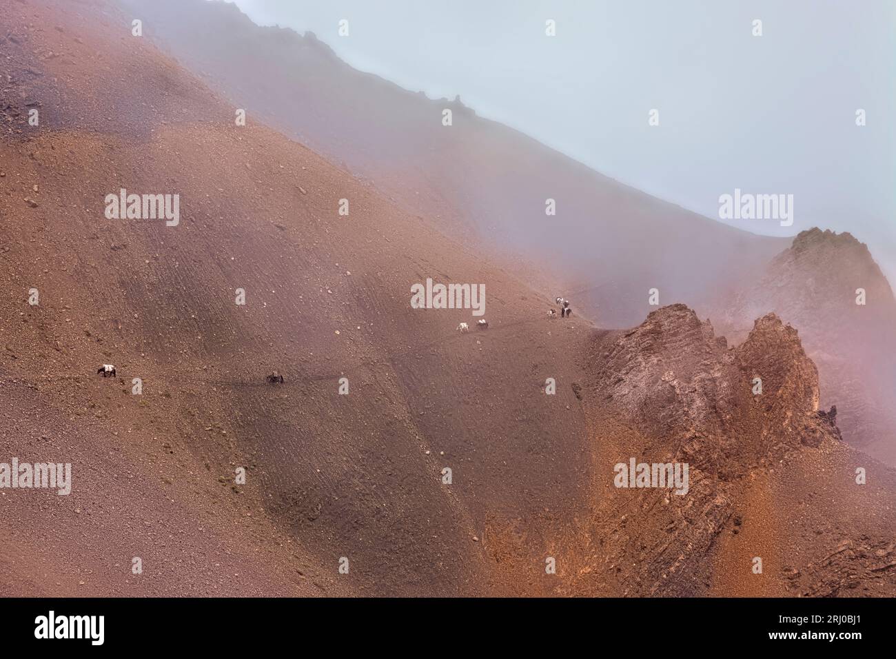 Precipitous trail to the Gotunta La Pass, Zanskar, Ladakh, India Stock ...