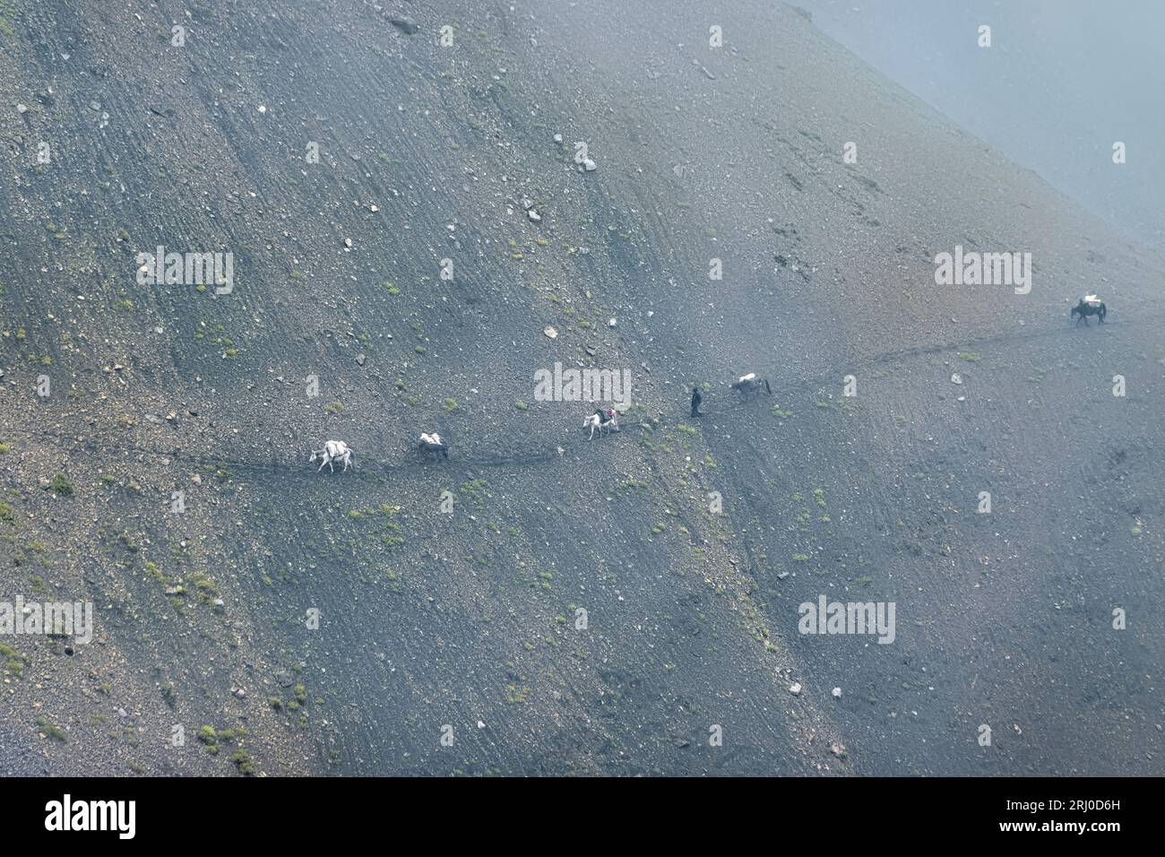 Navigating a precipitous trail in Zanskar, Ladakh, India Stock Photo ...
