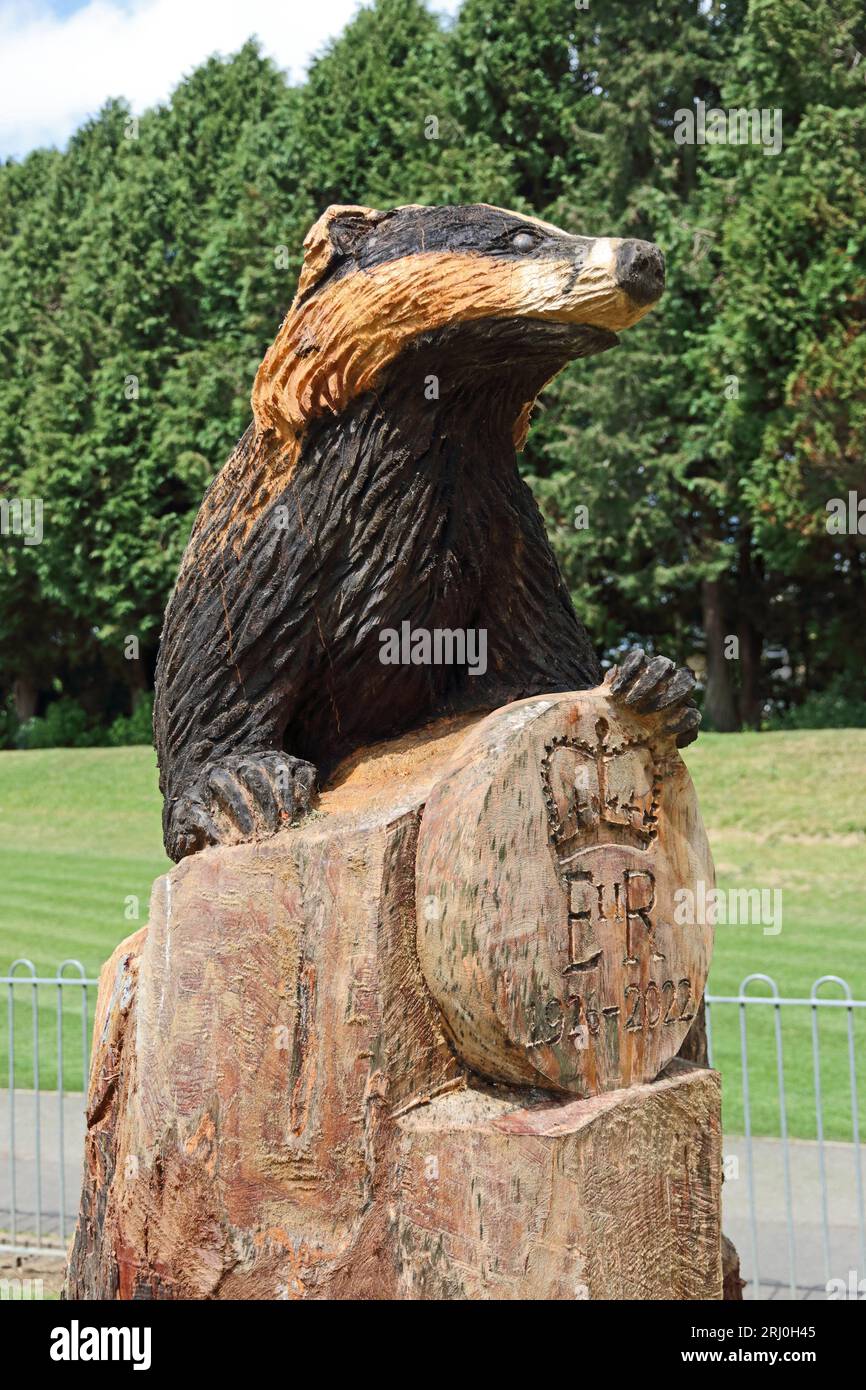 Wooden carving of a Badger, by Sherwood Carving, to commemorate life of ...