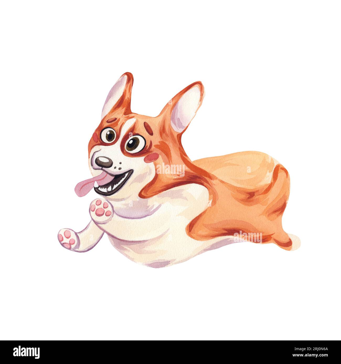 A corgi dog. Watercolor illustration on a white background. The puppy ...