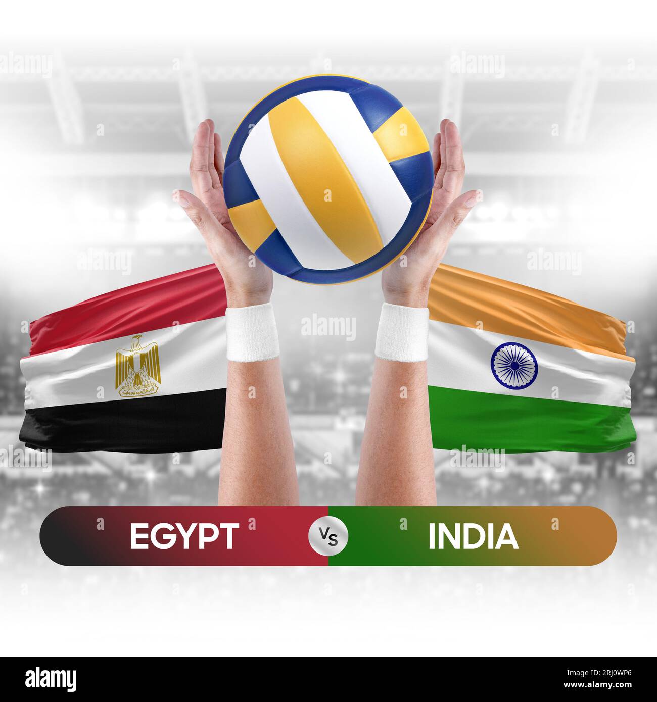 Egypt vs India national teams volleyball volley ball match competition ...